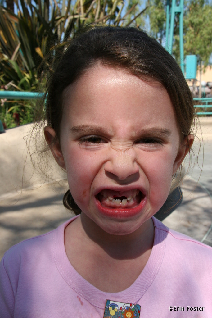 Does Tinker Bell Know the Tooth Fairy?: Losing a Tooth on Your Disney ...