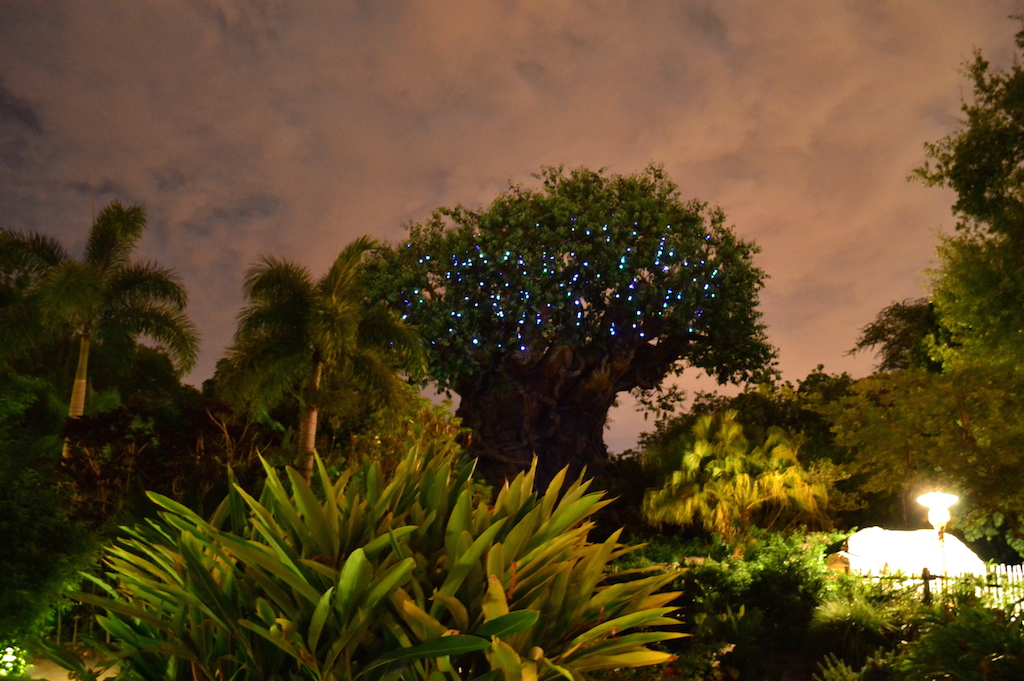 Animal Kingdom at Night: What You Need to Know | TouringPlans.com Blog