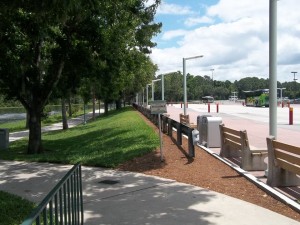 Hitting the Trail: Taking on the Disney World Walking Paths ...