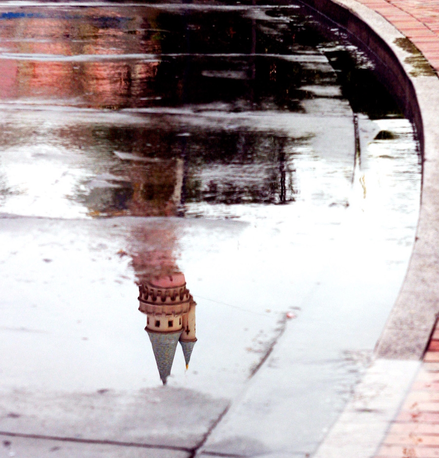 5 Essential Tips for Dealing with the Rain at Disneyland | TouringPlans ...