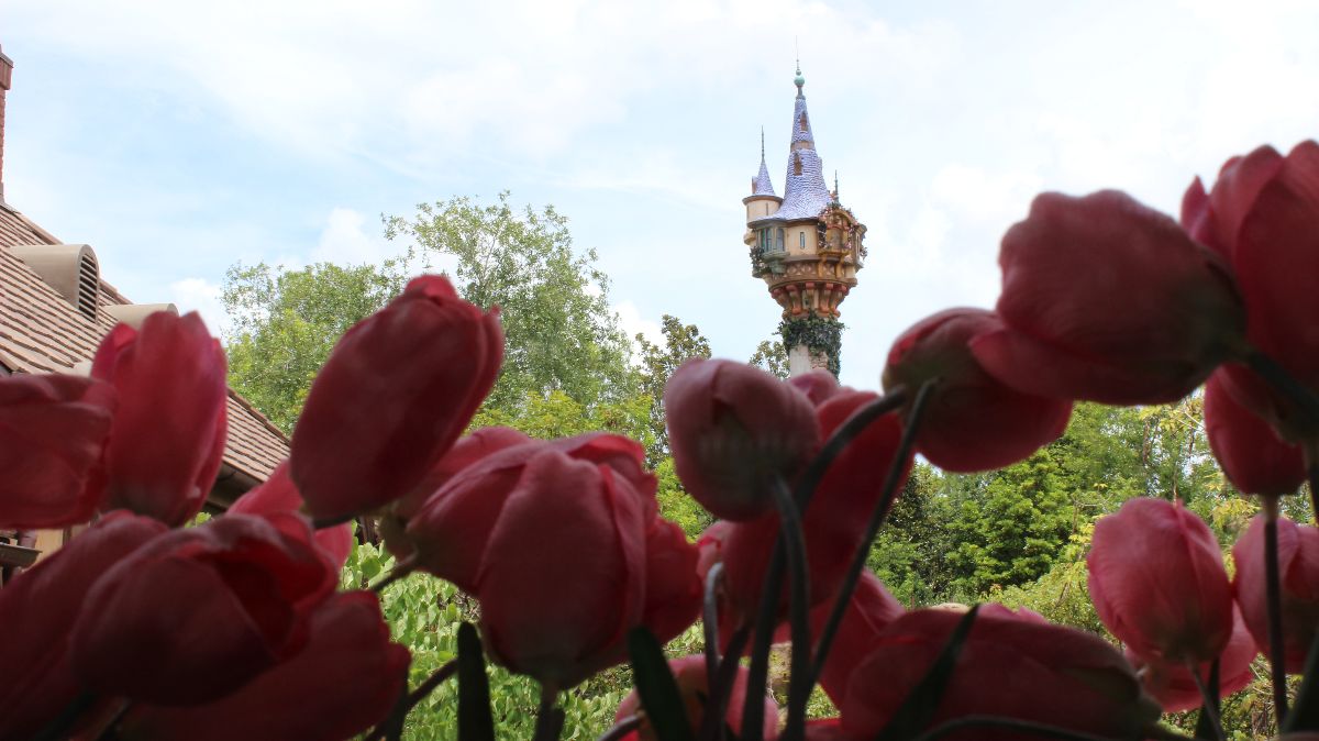 A Magic Kingdom Scavenger Hunt | TouringPlans.com Blog