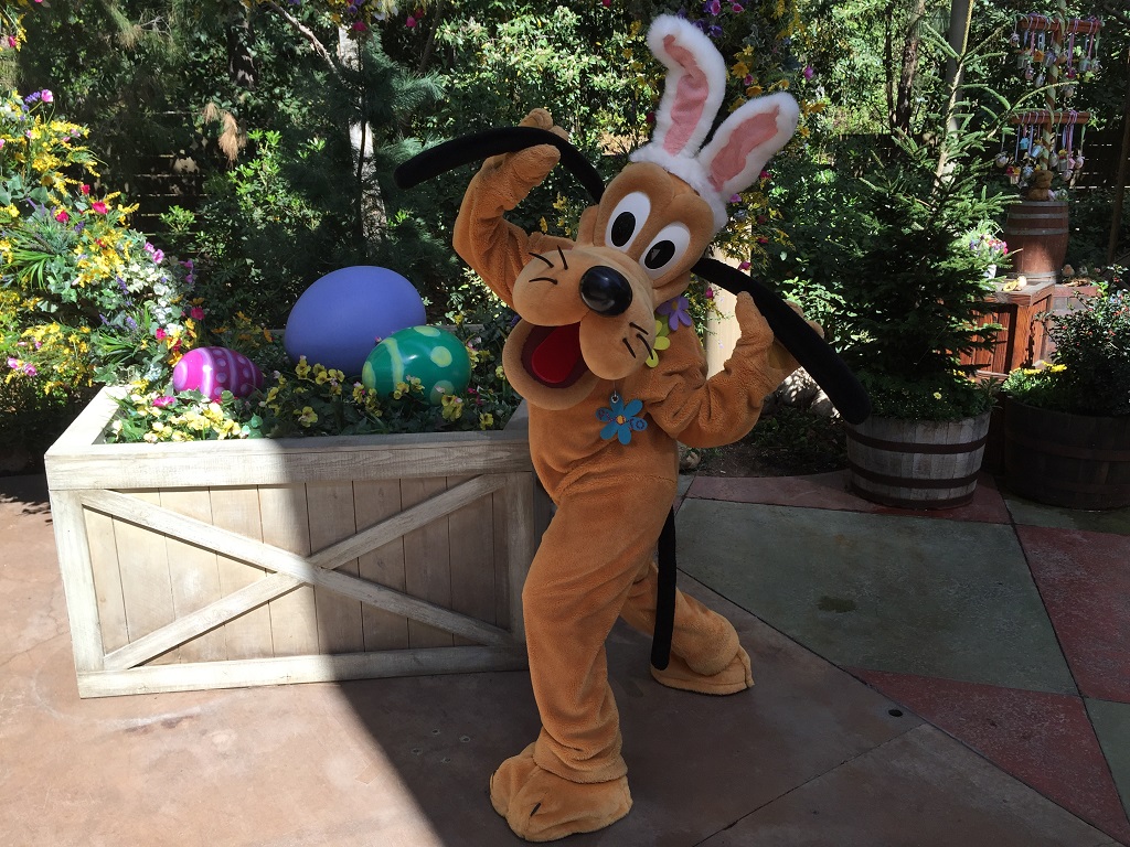 Pictures: Springtime Roundup Brings Rare Characters Back to Disneyland ...