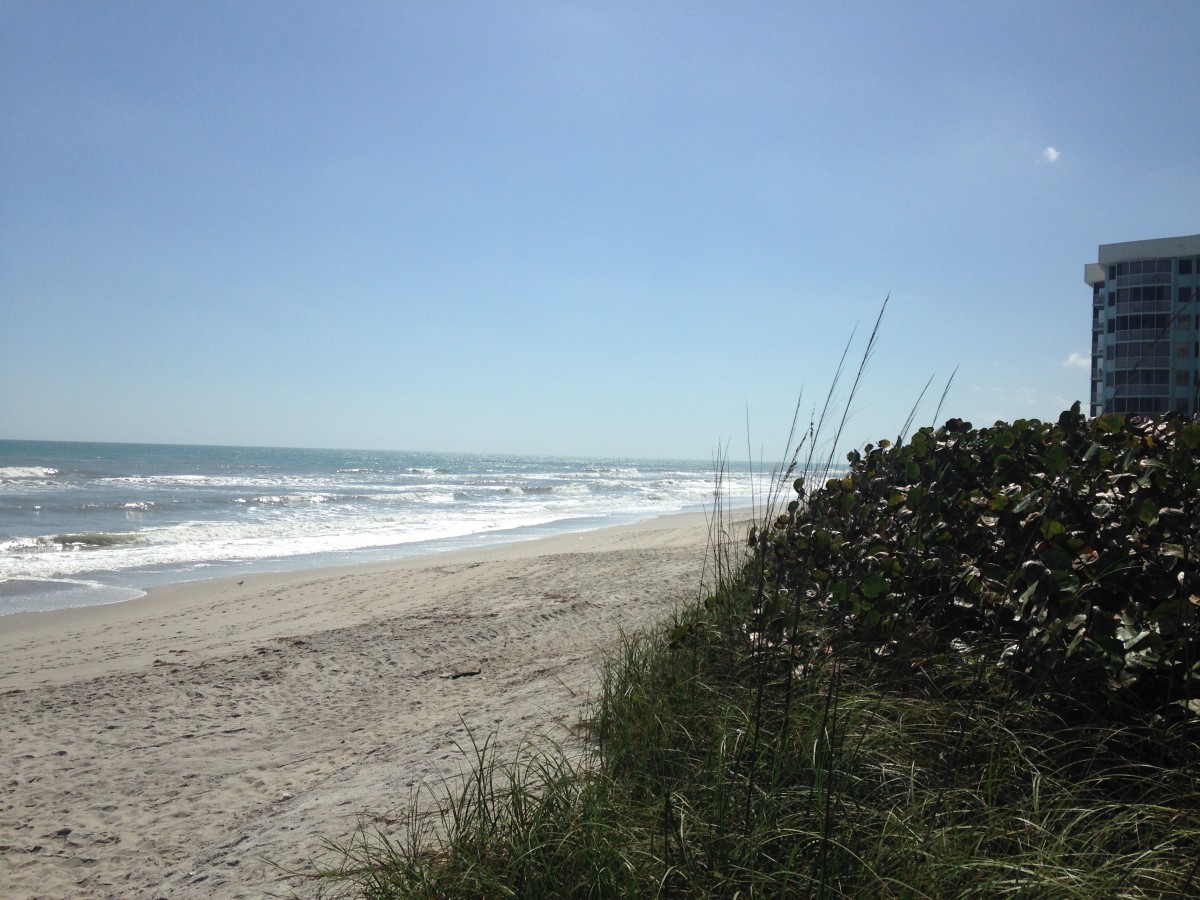 Best Space Coast Beaches for Disney Day-Trips | TouringPlans.com Blog