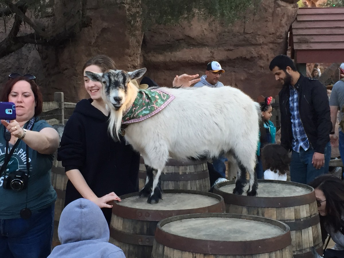 24 Things You Should Do at Disneyland’s 24-Hour Celebration ...