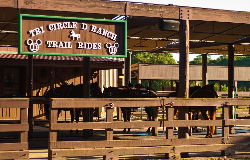 Best Unique Activities at Disney Hotels | TouringPlans.com Blog