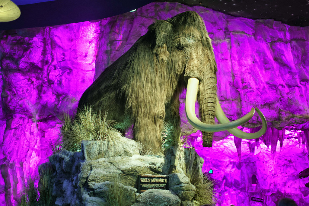 SATURDAY SIX: The Most UNIQUE Dining Experiences in Walt Disney World ...