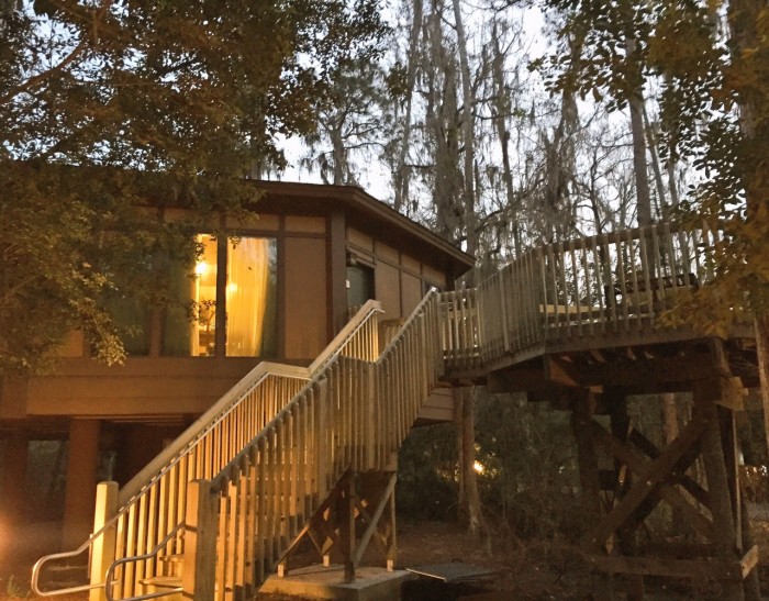 Dani’s Best Week Ever March 3, 2016: Universal Orlando, Treehouse ...