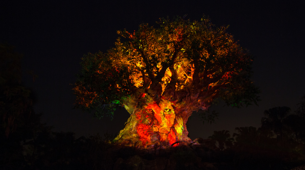 Four Reasons Nighttime is the Best Time to Visit Theme Parks ...