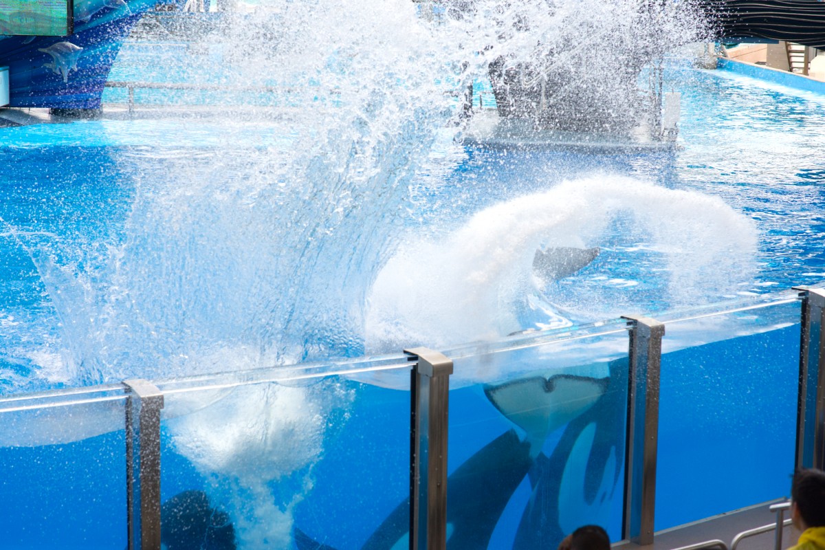 Getting to Know SeaWorld Orlando | TouringPlans.com Blog