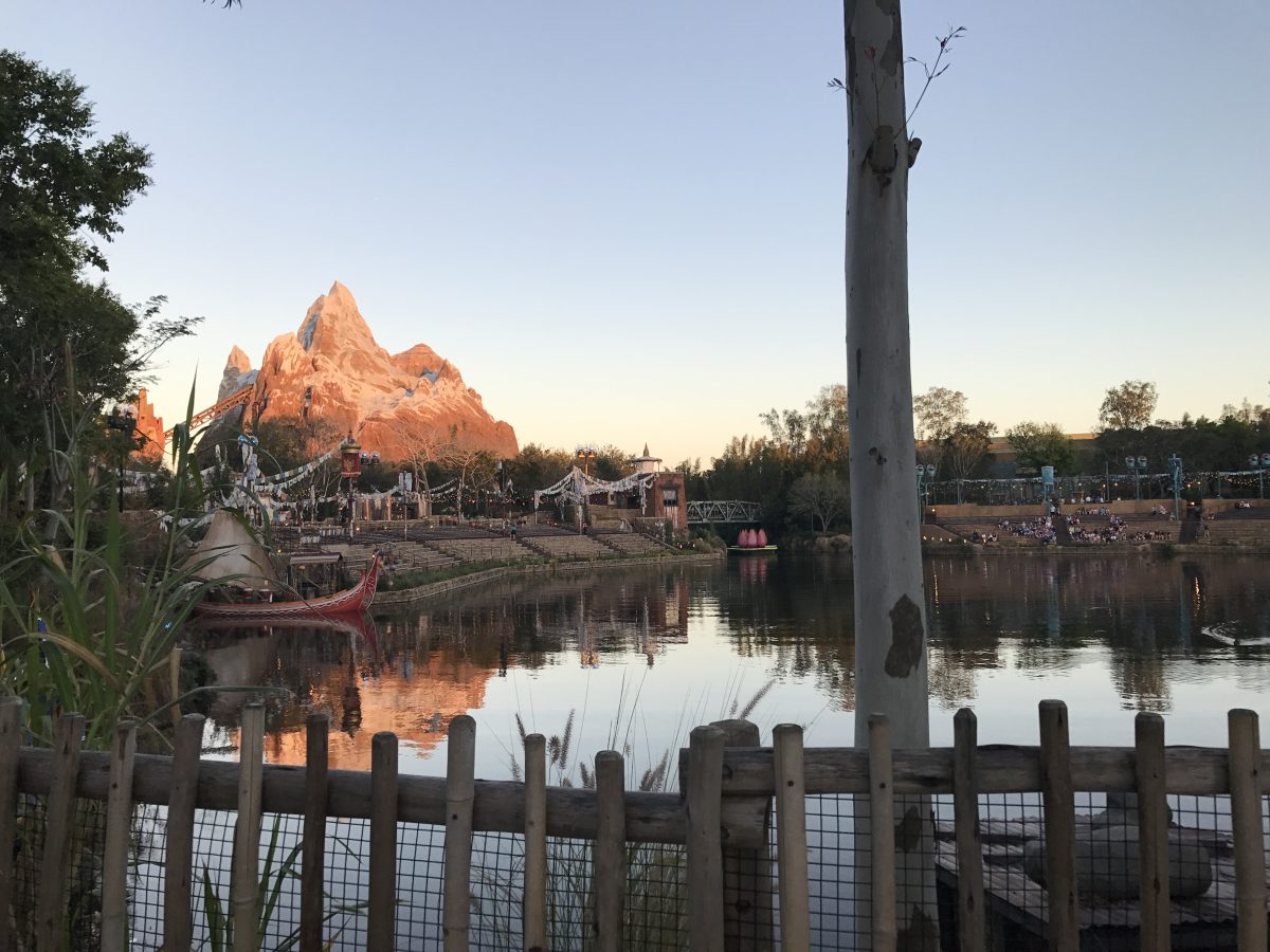 What You Need to Know Before You See Rivers of Light | TouringPlans.com ...