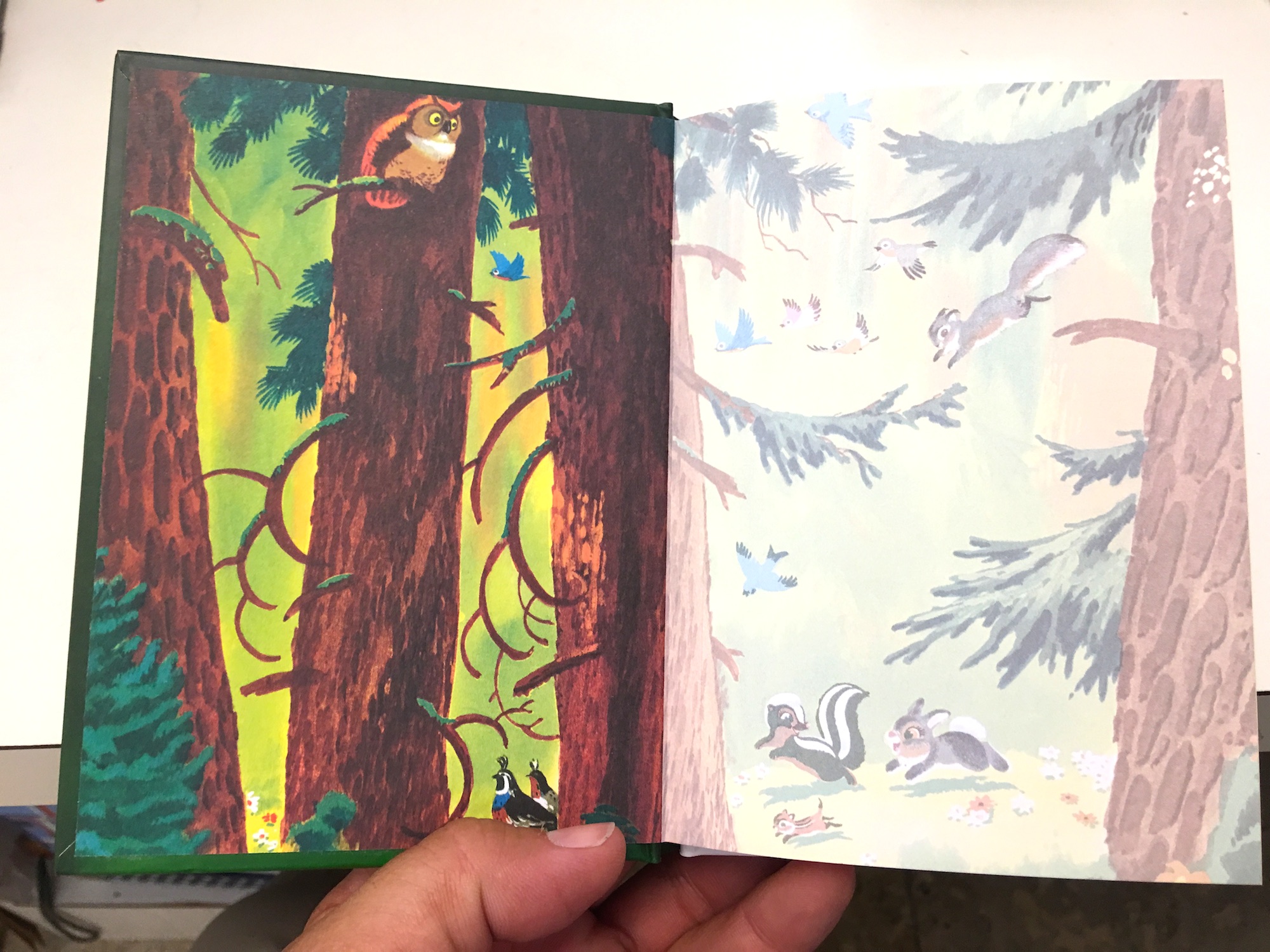 The Magic, The Memories, and Merch! February 2017 Photo Report of the ...