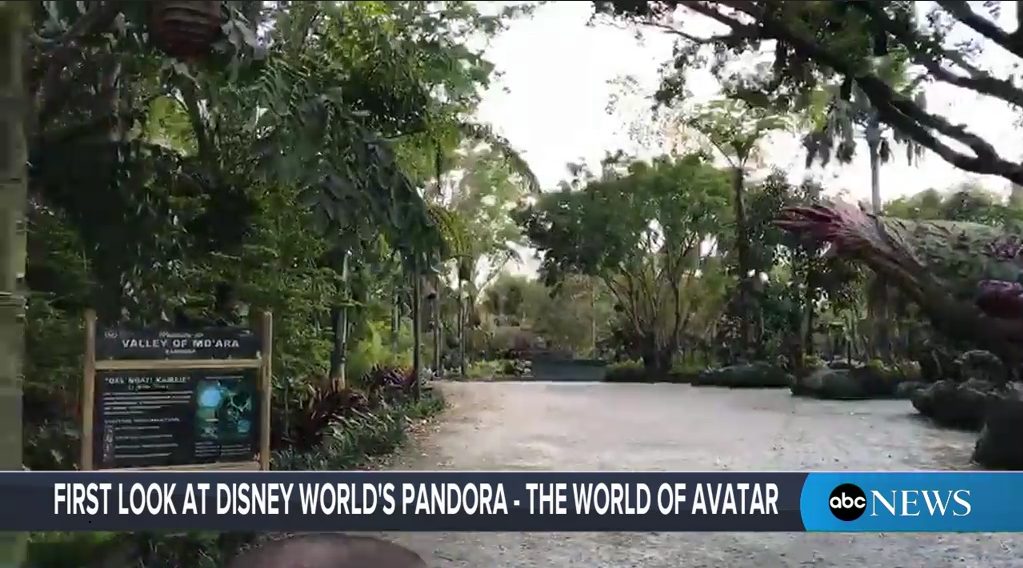 Pandora – Everything You Need To Know | TouringPlans.com Blog