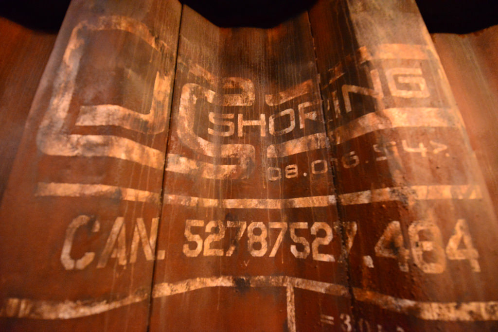 SATURDAY SIX: 6 Amazing Details in Disney’s Pandora: The World of ...