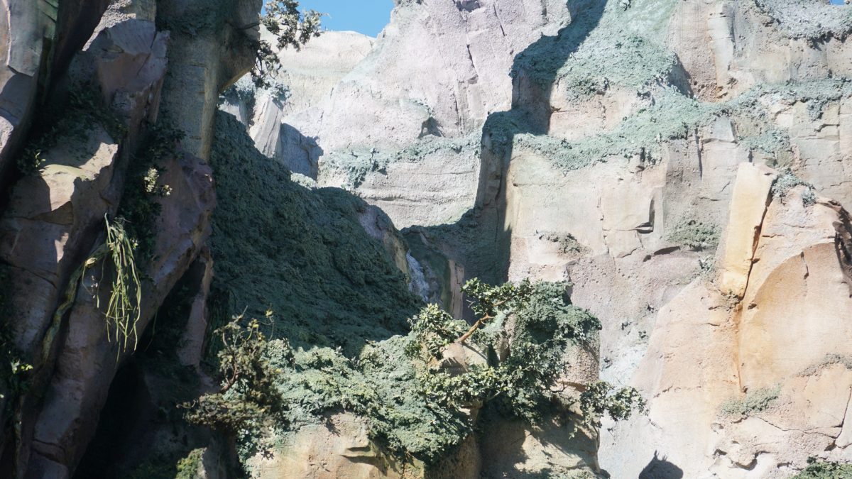 SATURDAY SIX: 6 Amazing Details in Disney’s Pandora: The World of ...
