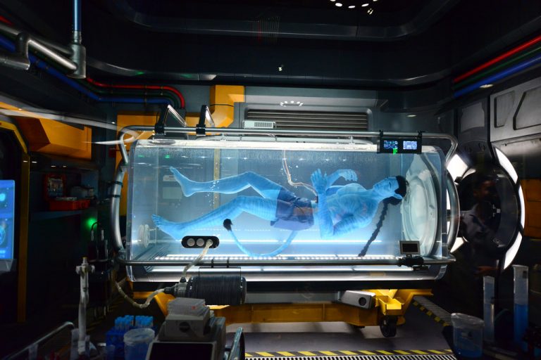 Everything You Need to Know About Avatar Flight of Passage ...