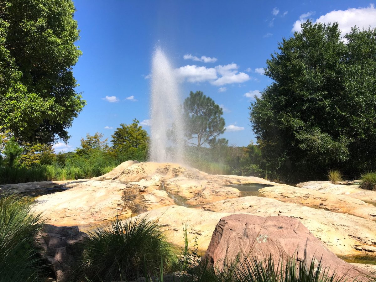 SATURDAY SIX: 6 Reasons We Love Disney’s WILDERNESS LODGE ...