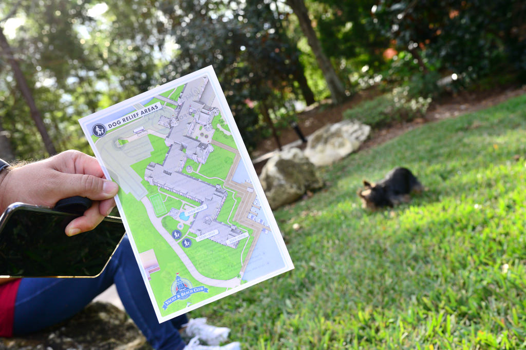 Are Disney’s Hotels Going To The Dogs? A Review. | TouringPlans.com Blog