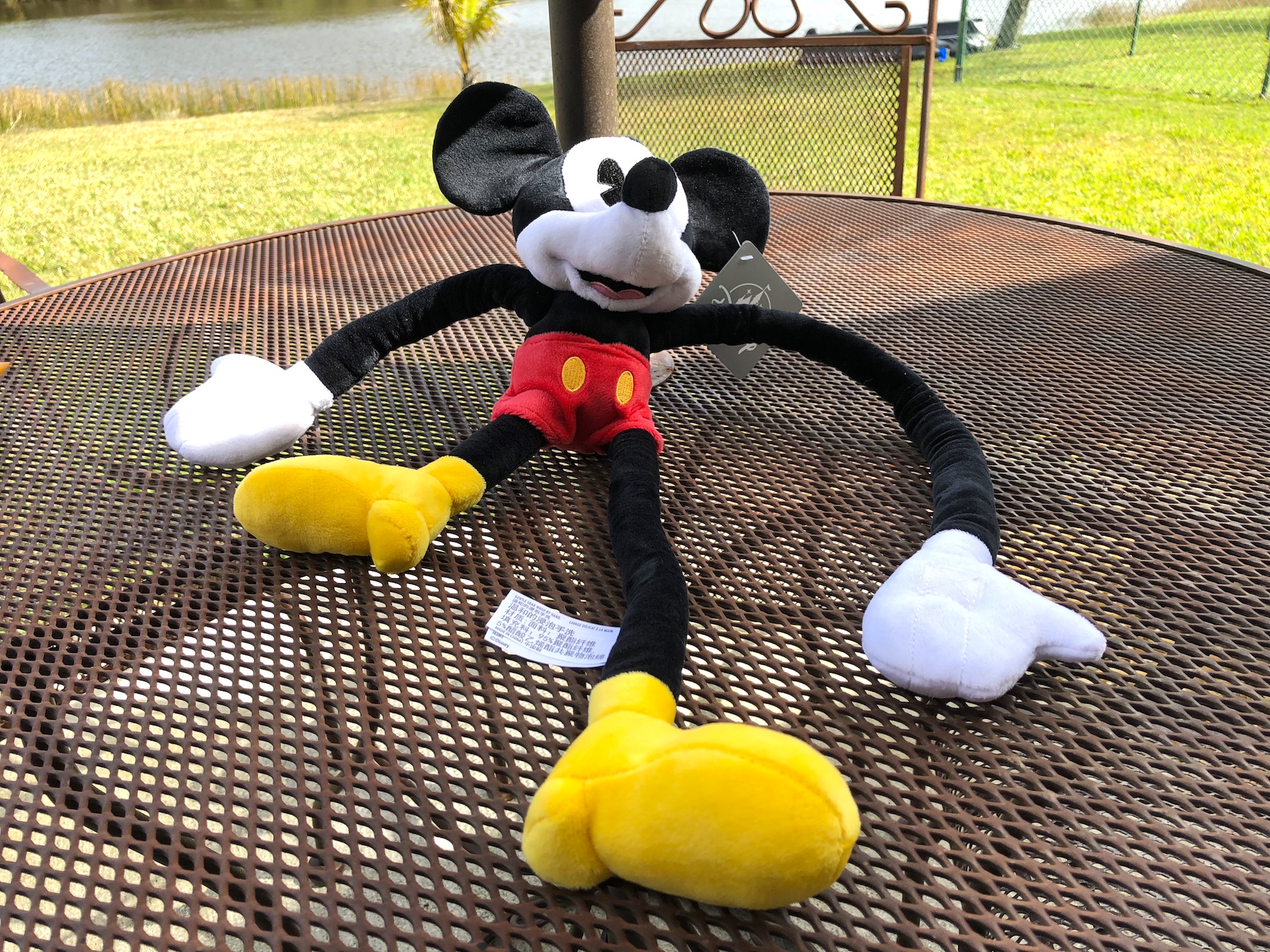 The Magic, The Memories, and Merch! JANUARY 2018 Photo Report of the ...