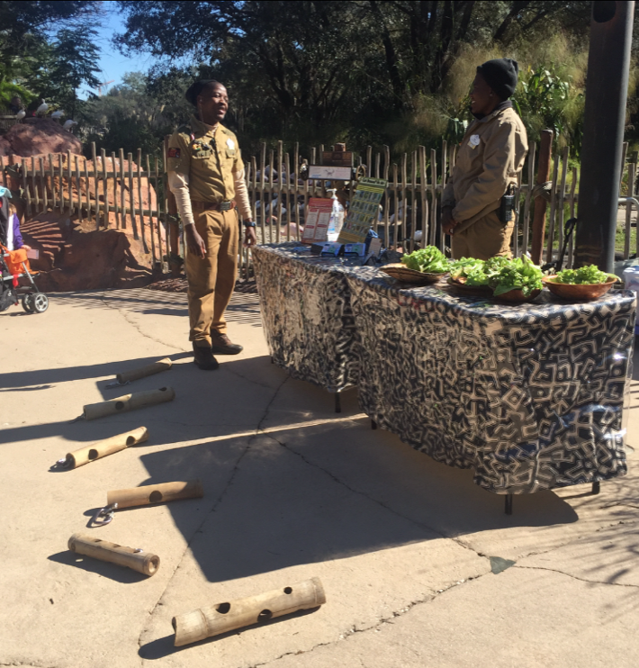 Disney’s Environmental Activities: Beyond Animal Kingdom | TouringPlans ...