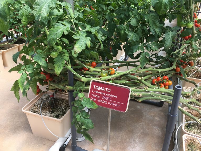 Popular Tours Are Returning to Epcot October 2, 2022 | TouringPlans.com ...