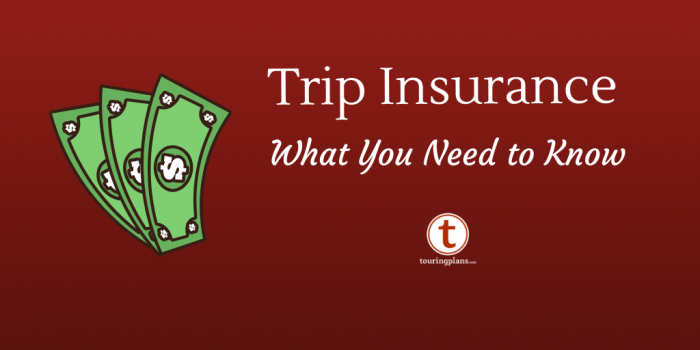 10 Things to Consider When Buying Travel Insurance for Your Disney Trip ...