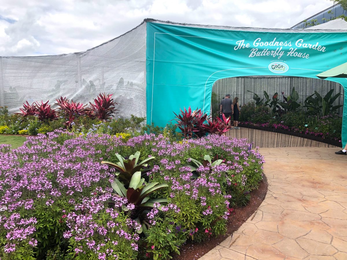 SATURDAY SIX – 6 Reasons We Love Epcot’s 2019 Flower & Garden Festival ...