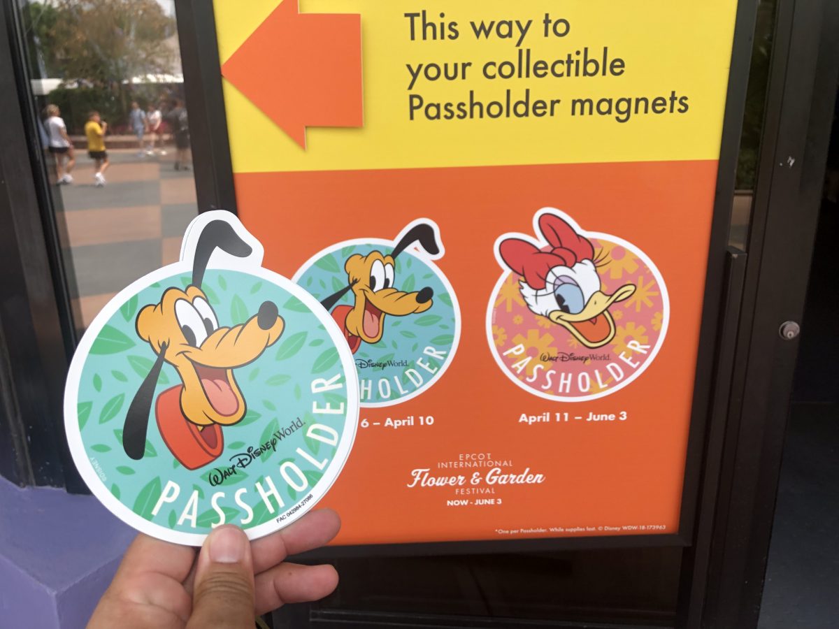 Everything You Need to Know About Being an Annual Passholder ...