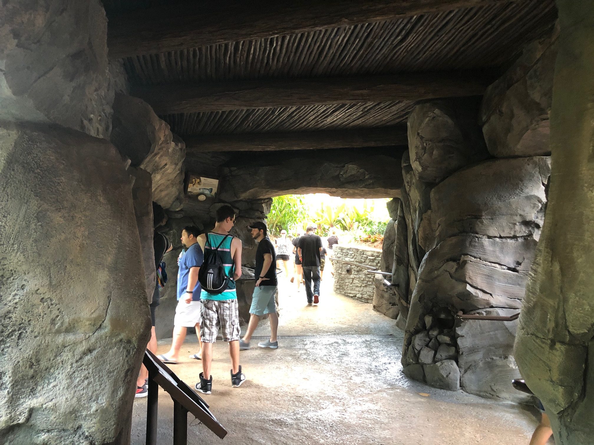 Otter Grotto Now Open at Disney’s Animal Kingdom | TouringPlans.com Blog