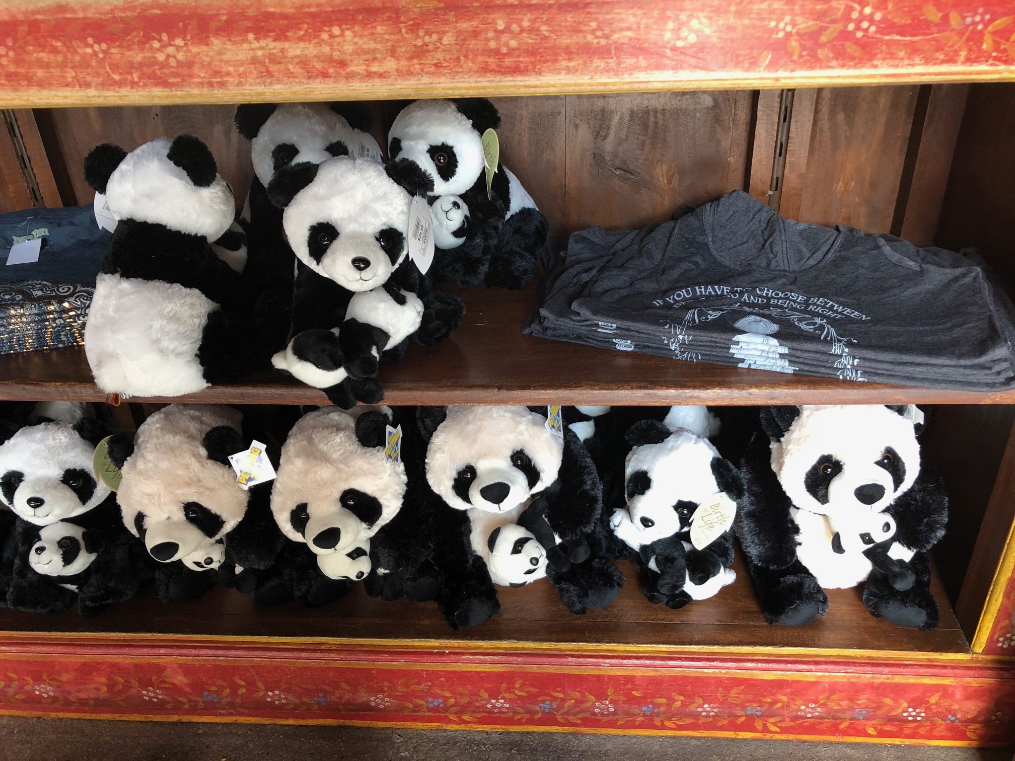Popular Panda Picks at Disney’s Animal Kingdom | TouringPlans.com Blog