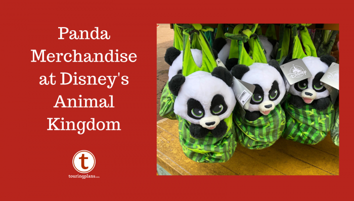 Popular Panda Picks at Disney’s Animal Kingdom | TouringPlans.com Blog