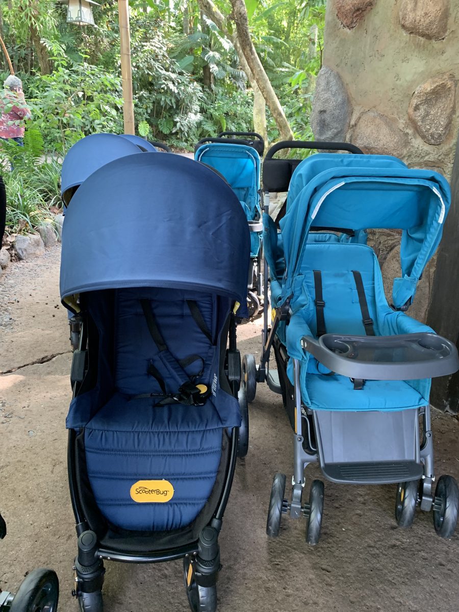 Stroller Test Rolls Out at Disney’s Animal Kingdom | TouringPlans.com Blog