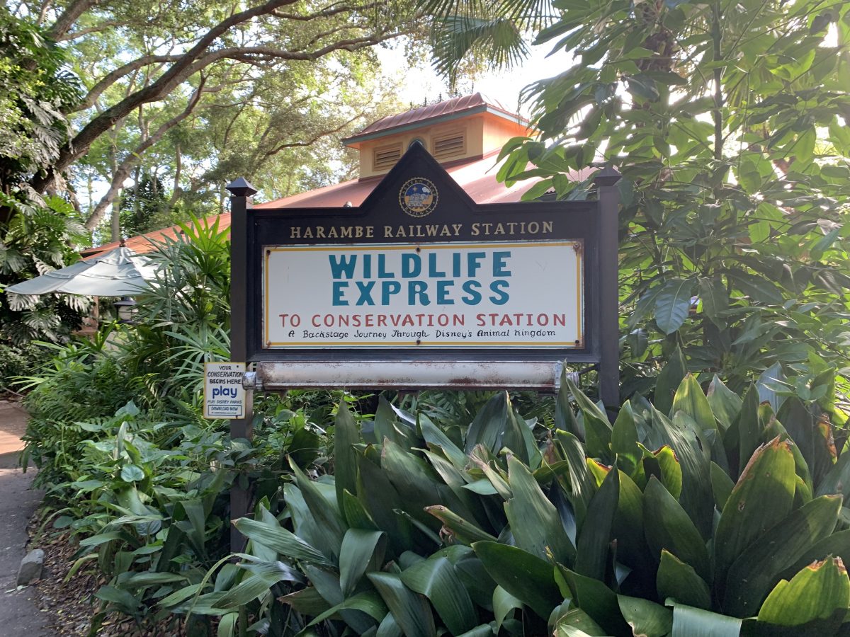 Conservation Station at Animal Kingdom Has Reopened, with a Drawing ...