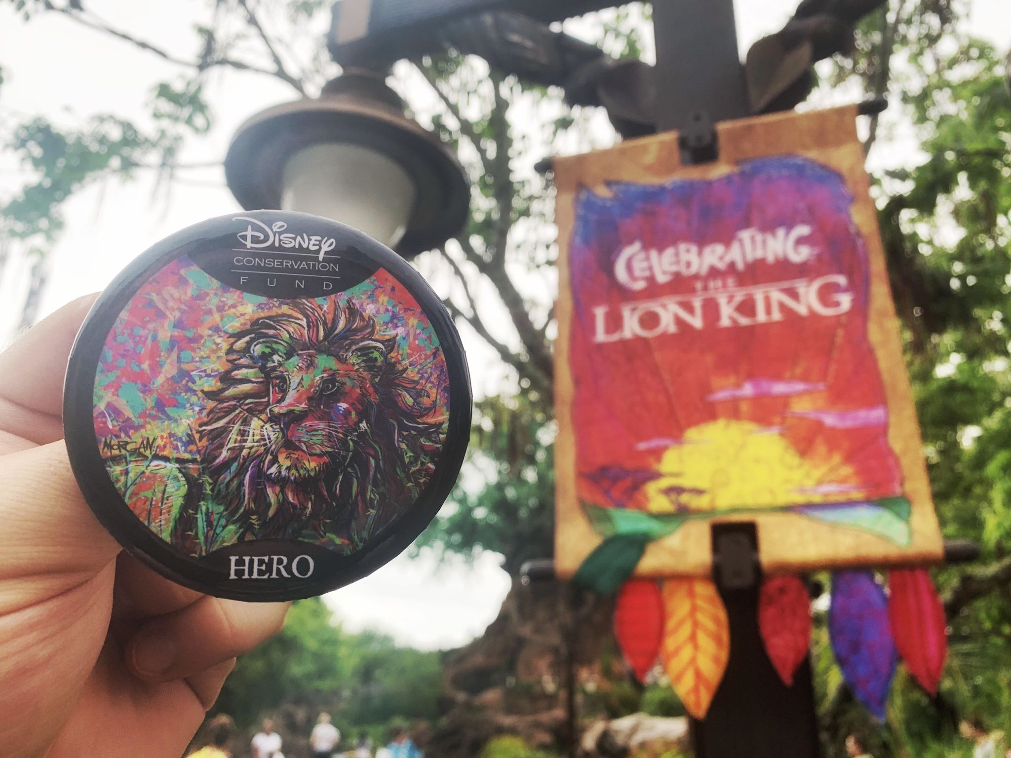 The SATURDAY SIX looks at THE LION KING in Walt Disney World ...
