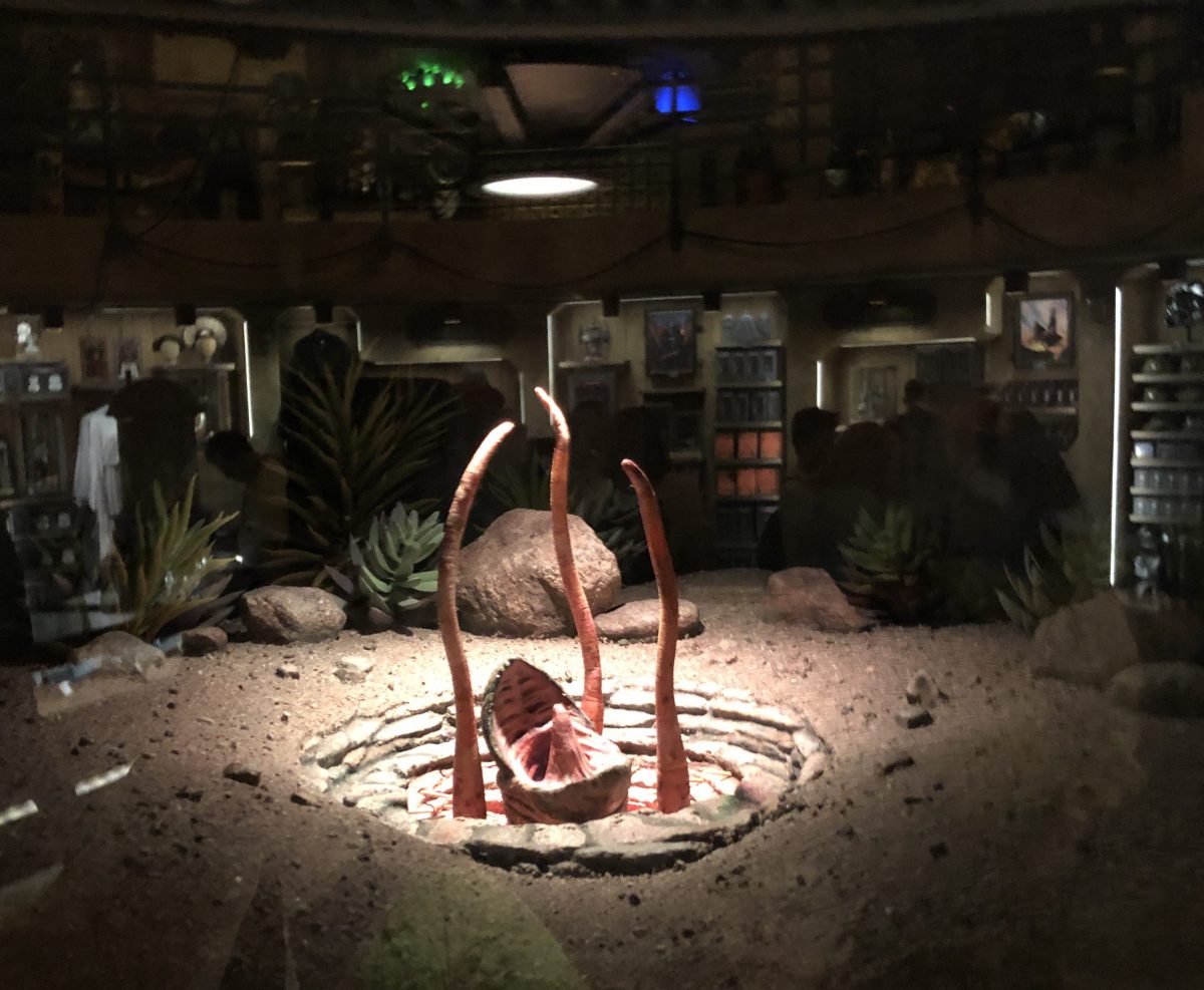 PHOTOS: Creatures of Galaxy’s Edge | TouringPlans.com Blog