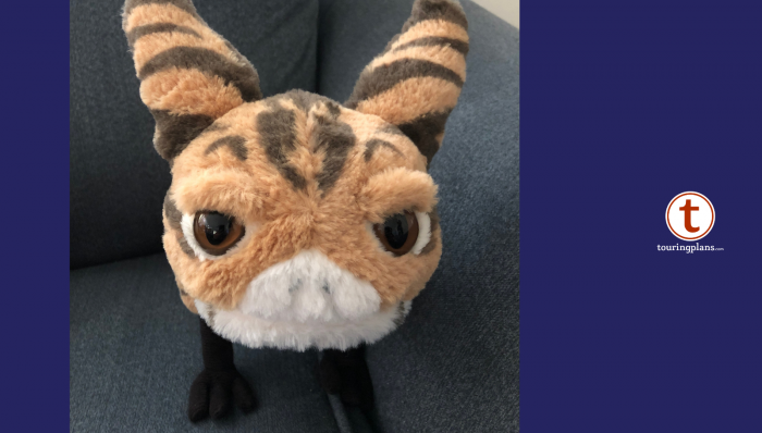 Loth-Cat Appreciation Post for Galaxy’s Edge at Walt Disney World ...