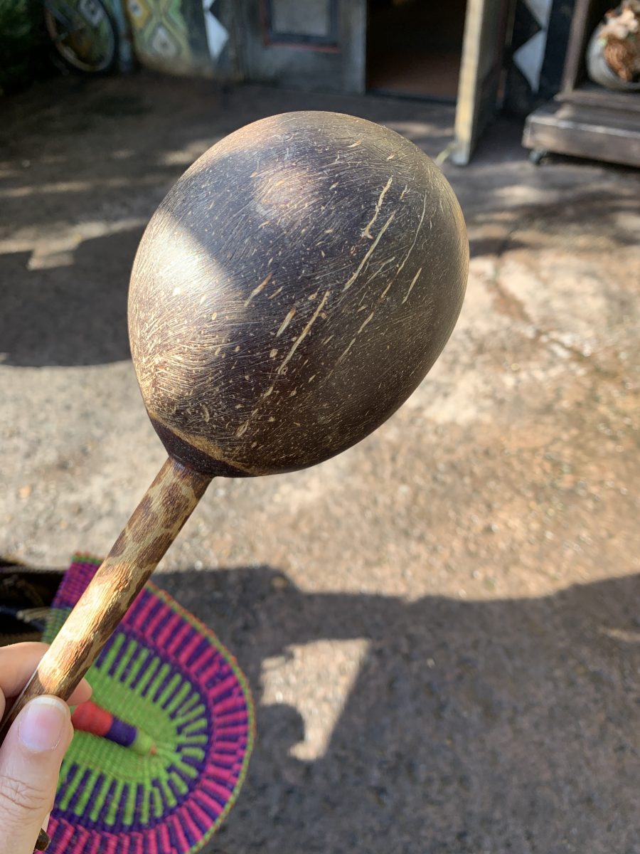 Unique Souvenir: Musical Instruments from Animal Kingdom | TouringPlans ...