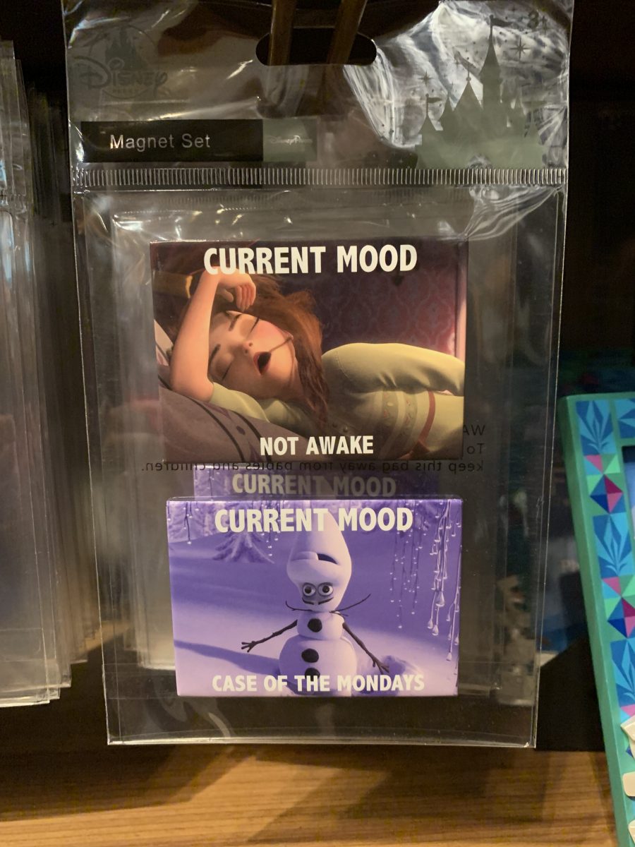 PHOTOS: More Disney Merchandise Plays on Memes | TouringPlans.com Blog