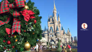 5 Reasons to Visit Walt Disney World in November | TouringPlans.com Blog