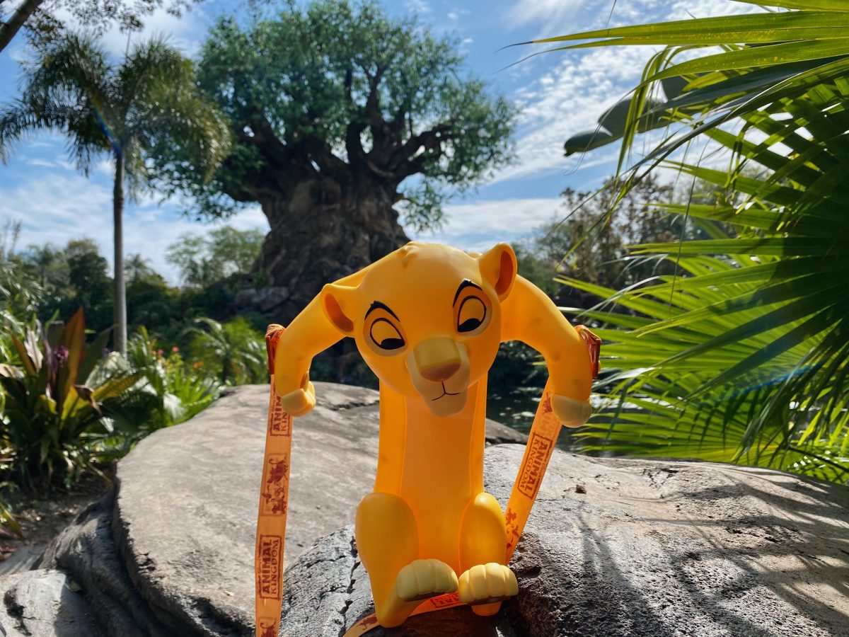 New Simba Popcorn Bucket Makes Royal Arrival at Disney’s Animal Kingdom ...