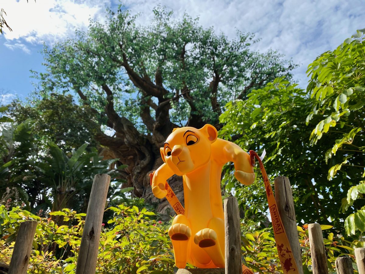 New Simba Popcorn Bucket Makes Royal Arrival at Disney’s Animal Kingdom ...