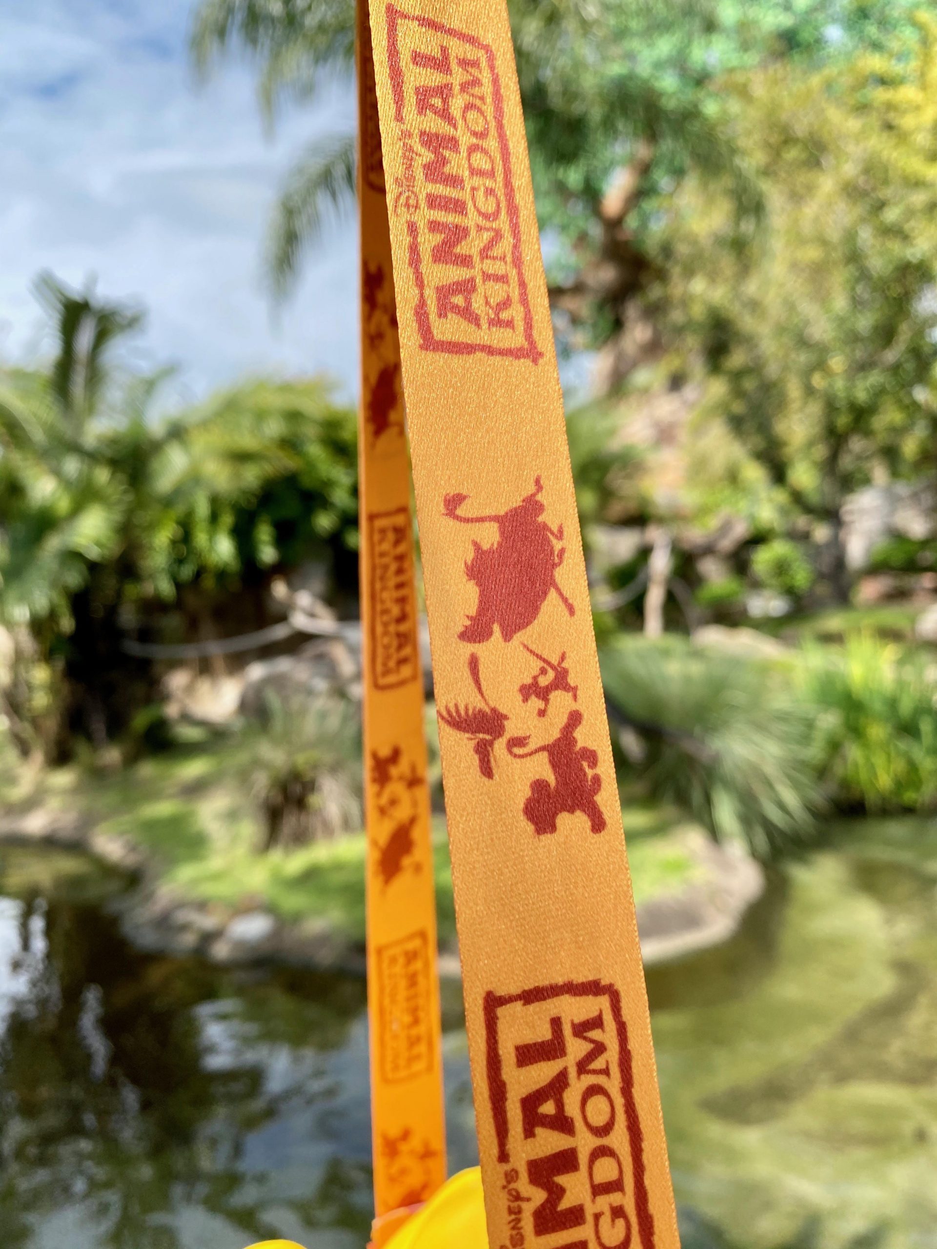 New Simba Popcorn Bucket Makes Royal Arrival at Disney’s Animal Kingdom ...