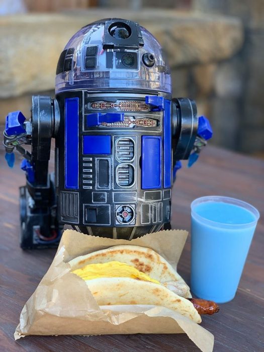 10 Things To Do With Your Custom Disney Droid | TouringPlans.com Blog