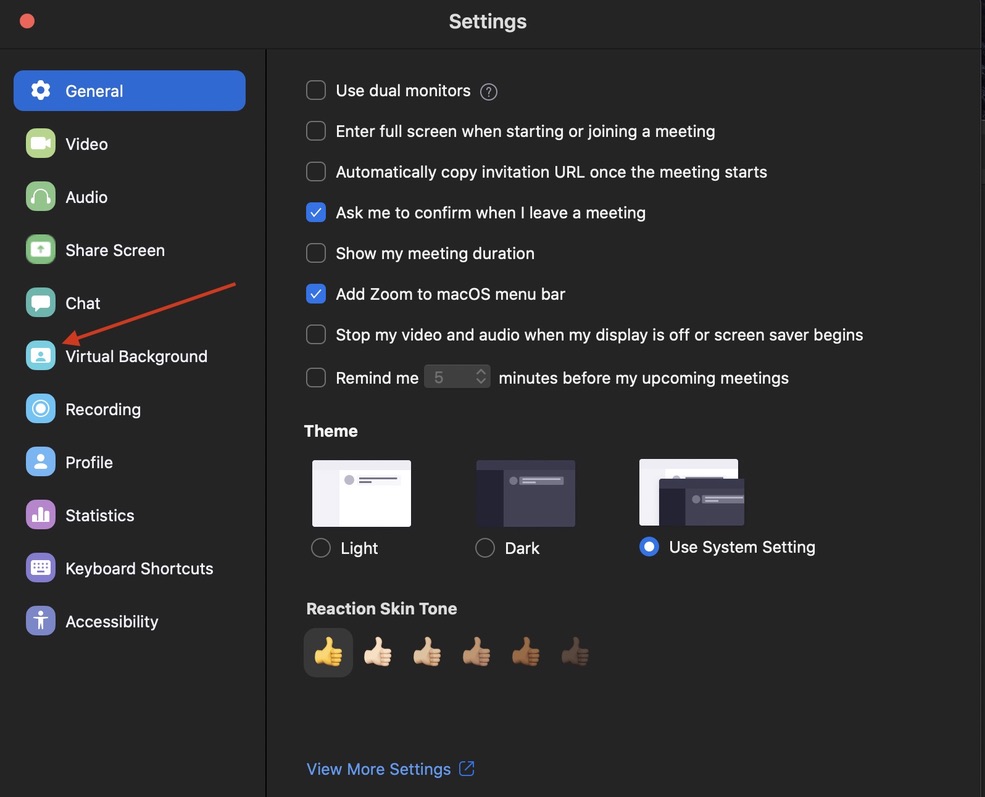 Add Some Disney Spirit to Your Virtual Meeting: How to Change Your Zoom ...