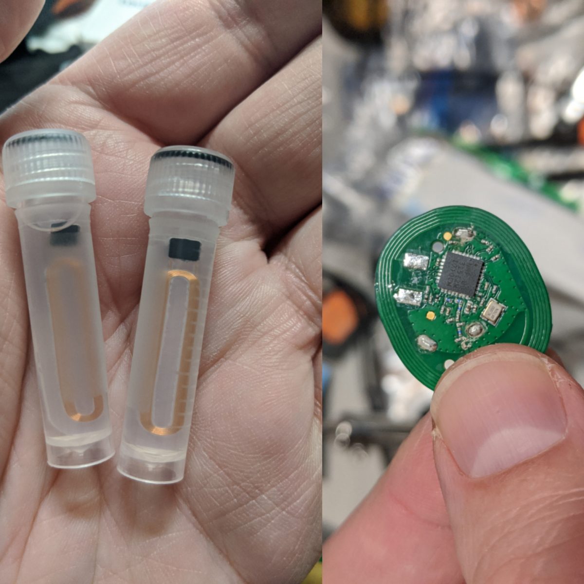 My Attempt to Become a Disney Cyborg — Update | TouringPlans.com Blog