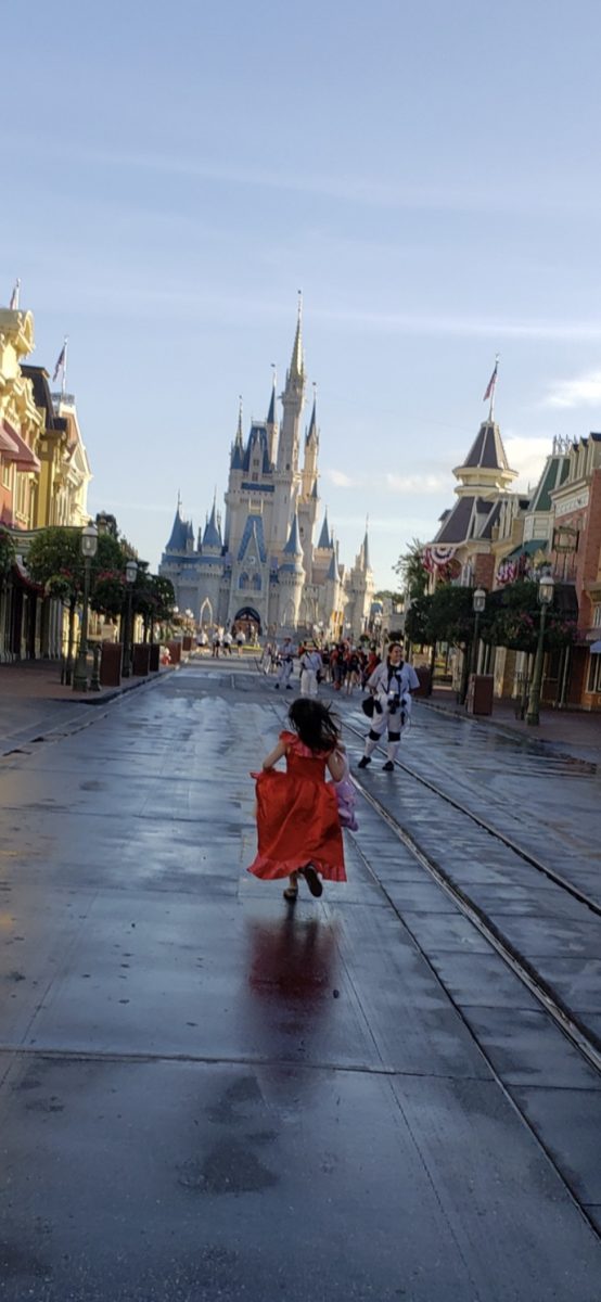 What I Love! A Mouse, a Princess, and a Dwarf Walk Into a Park ...