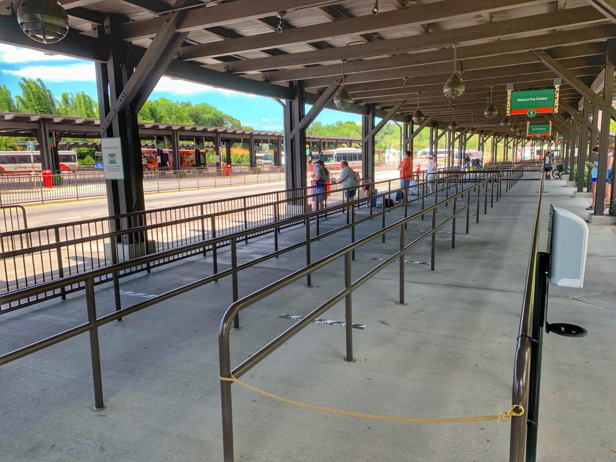 The SATURDAY SIX Spends a Day at Disney’s ANIMAL KINGDOM (Safety ...