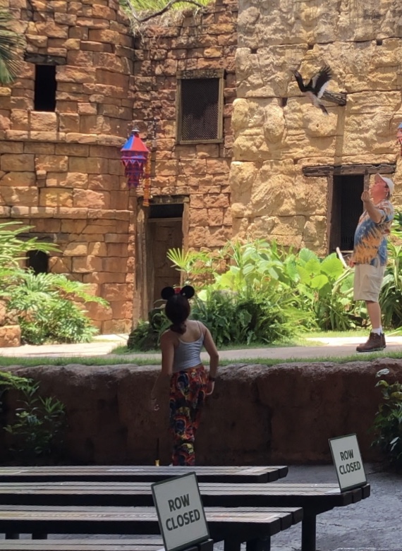 UP Is Away–New Bird Show at Disney’s Animal Kingdom | TouringPlans.com Blog