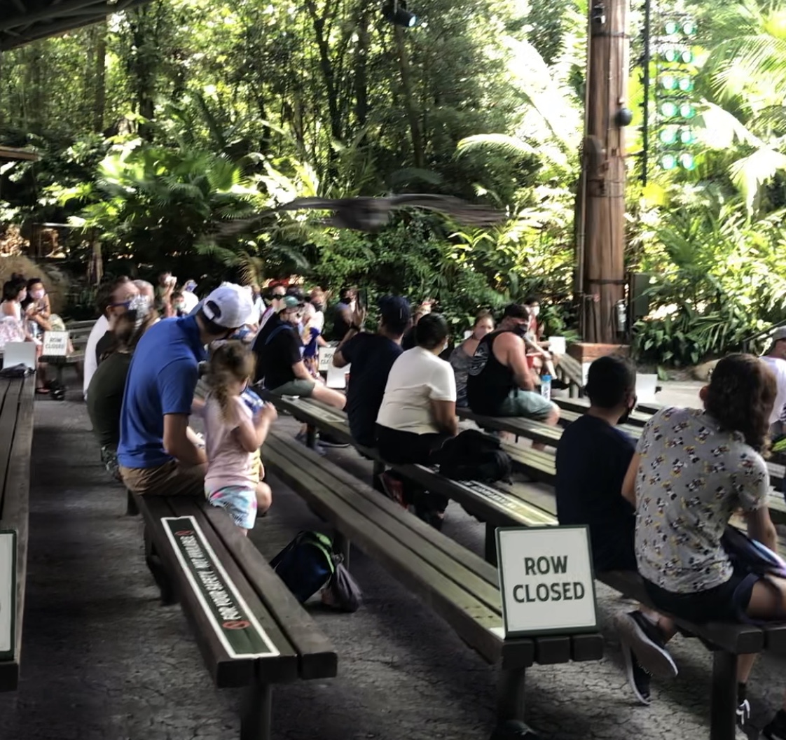 UP Is Away–New Bird Show at Disney’s Animal Kingdom | TouringPlans.com Blog