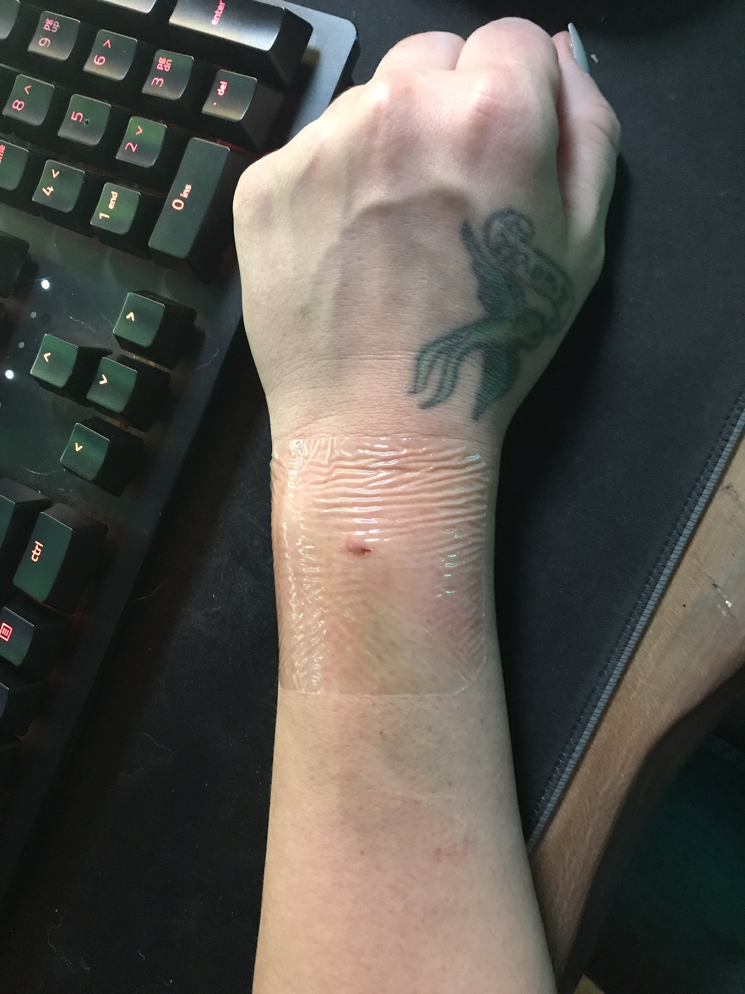 My Attempt to Become A Disney Cyborg — FINAL UPDATE - Disney by Mark