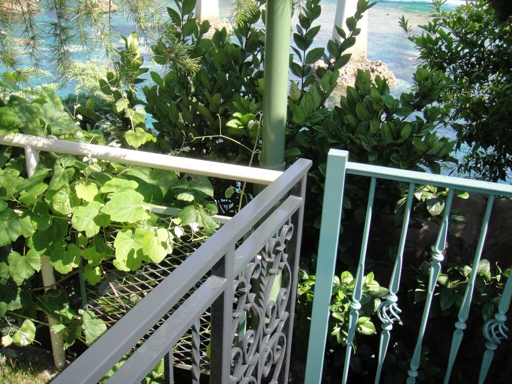 Disney Detail: Disneyland’s Three Fences - Disney by Mark